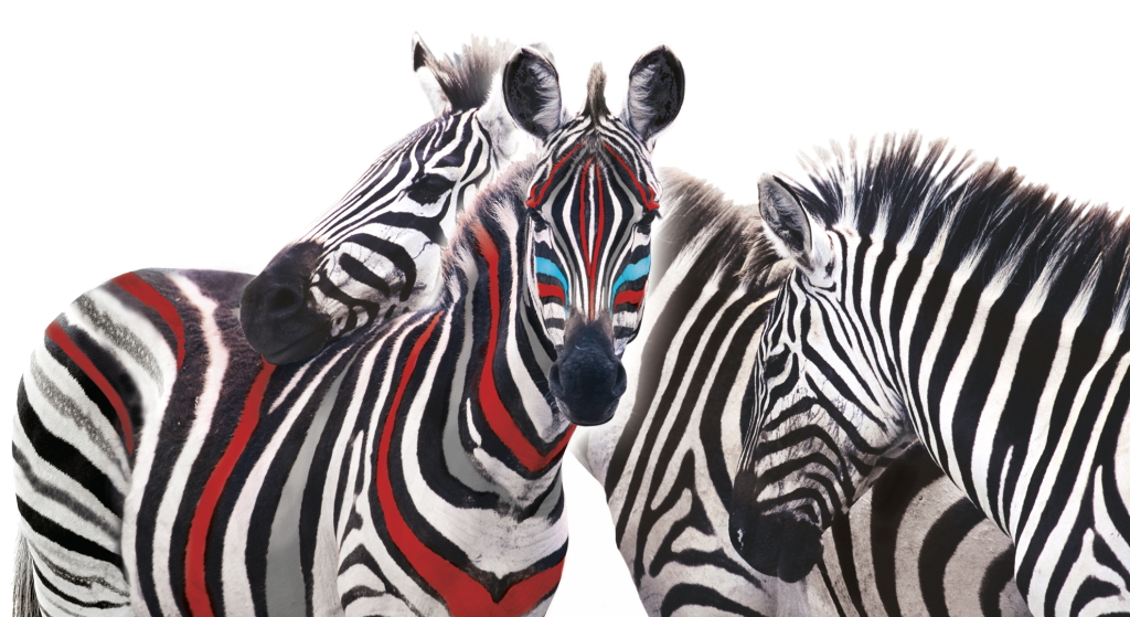 Standing Out From the Crowd - Dare to Dream